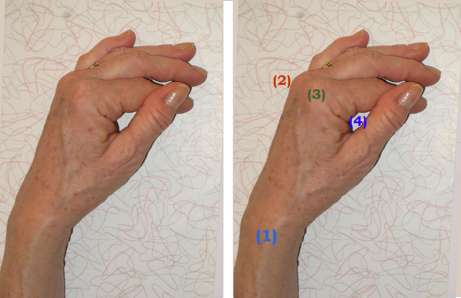 Drawing and painting « Portrait Artist from Westchester, NY – Anne ...