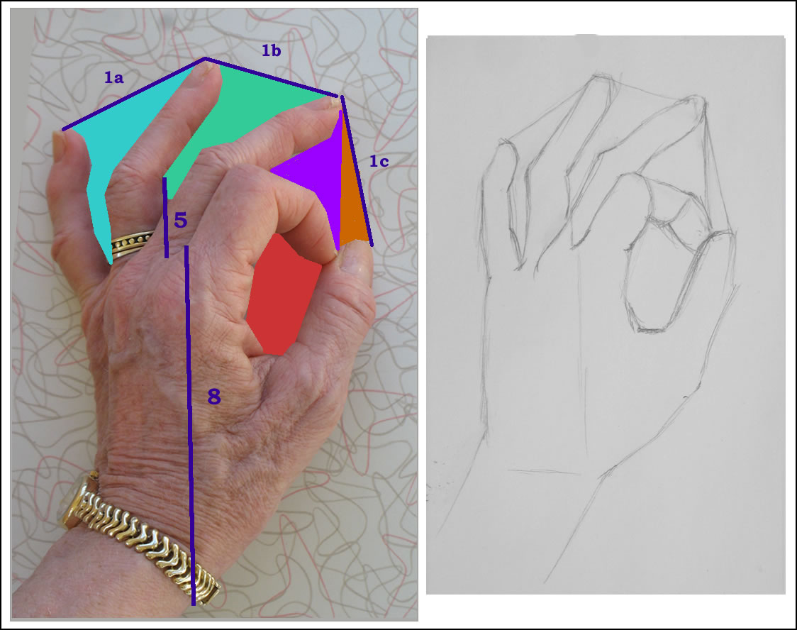 Hand drawing tutorials / demos « Portrait Artist from Westchester, NY ...